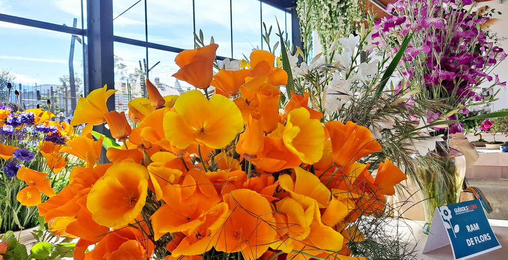 Aquest cap de setmana arriba la 70 edició del Guíxols Flors que ...